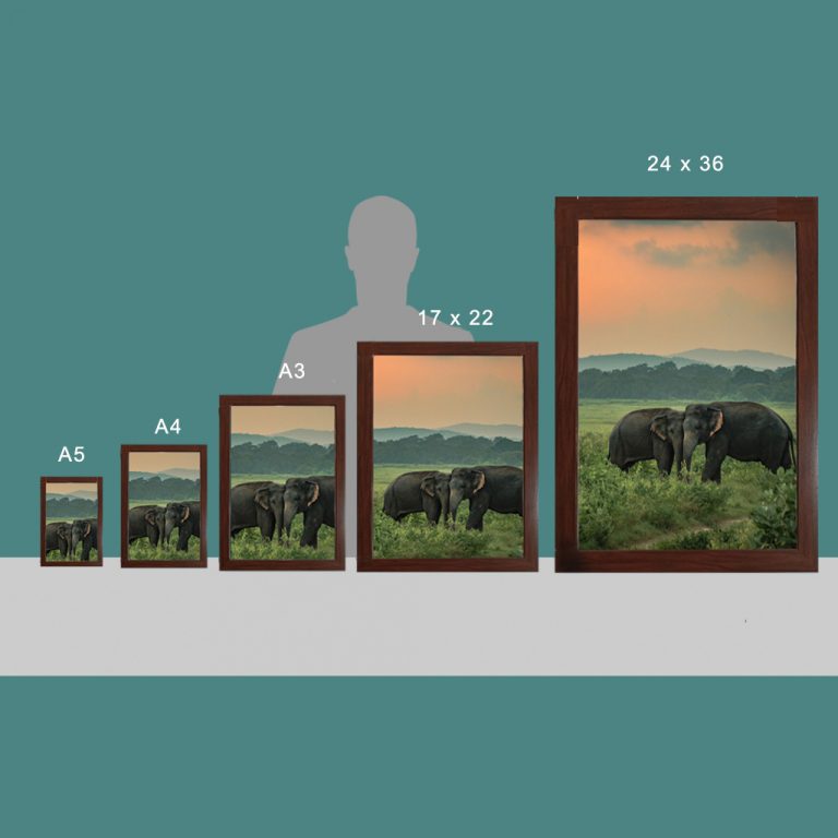 Anim8.lk | Various Sized Brown Fibre Photo Frames | Anim8 Frames