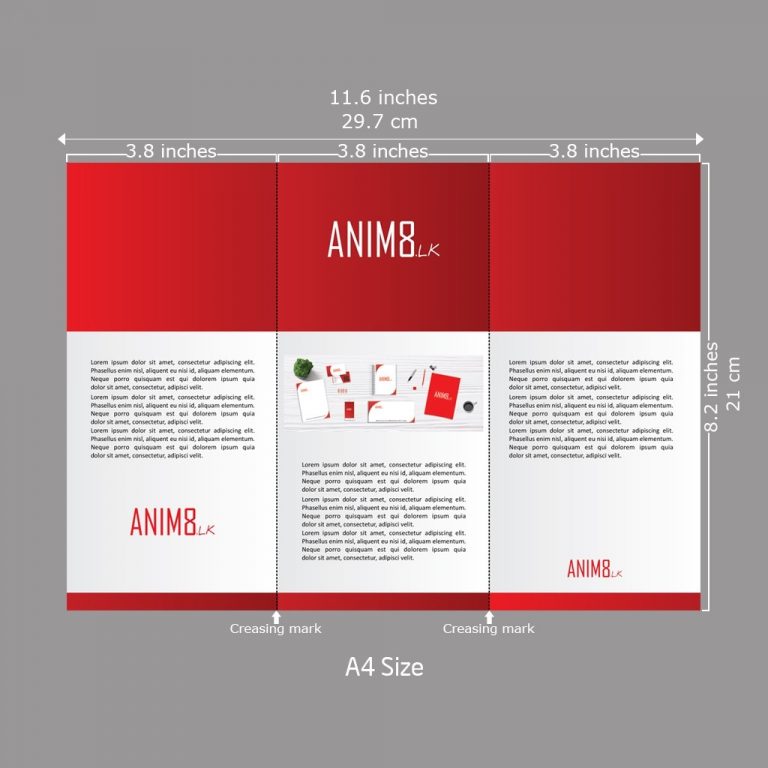 Anim8.lk | Double Sided A4 Fan Folded Brochure | Marketing Material