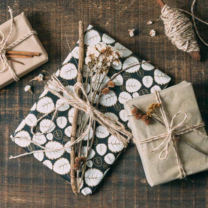 Amazing and Affordable: Budget Gift Ideas from Anim8